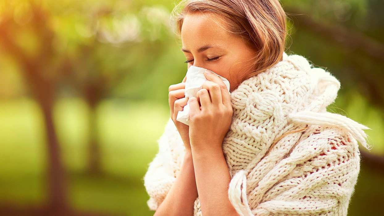 Med våren kommer pollen » bjarenu.se